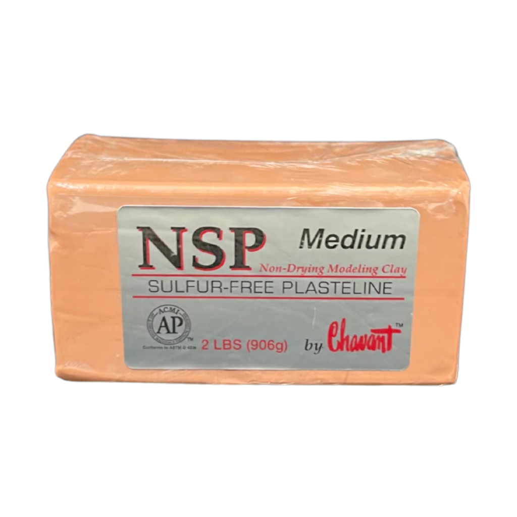 NSP Medium Clay 900g - Barnes New Zealand